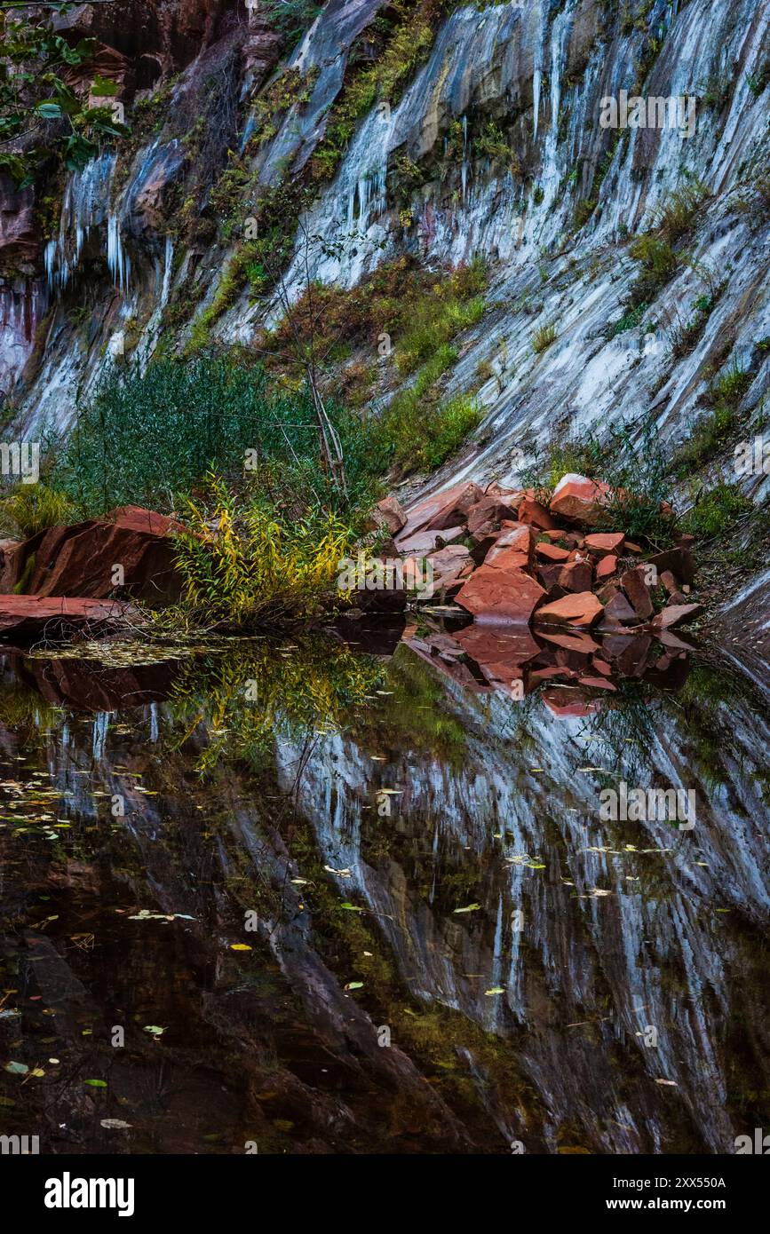 Icy rocks reflected on the Oak Creek waters at West Fork of Oak Creek ...
