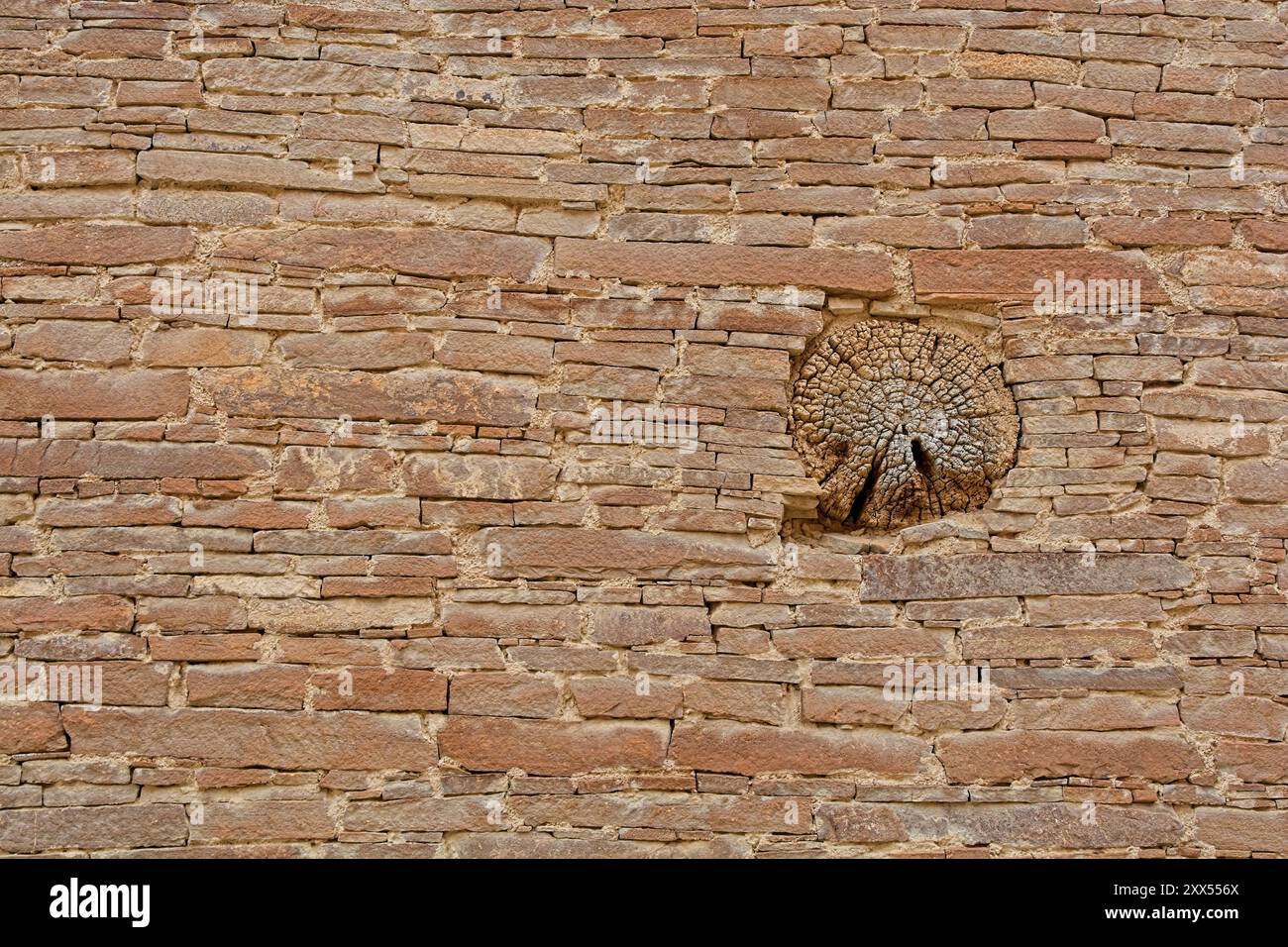 Timber viga protrude through stone slab masonry wall at Chaco Culture ...