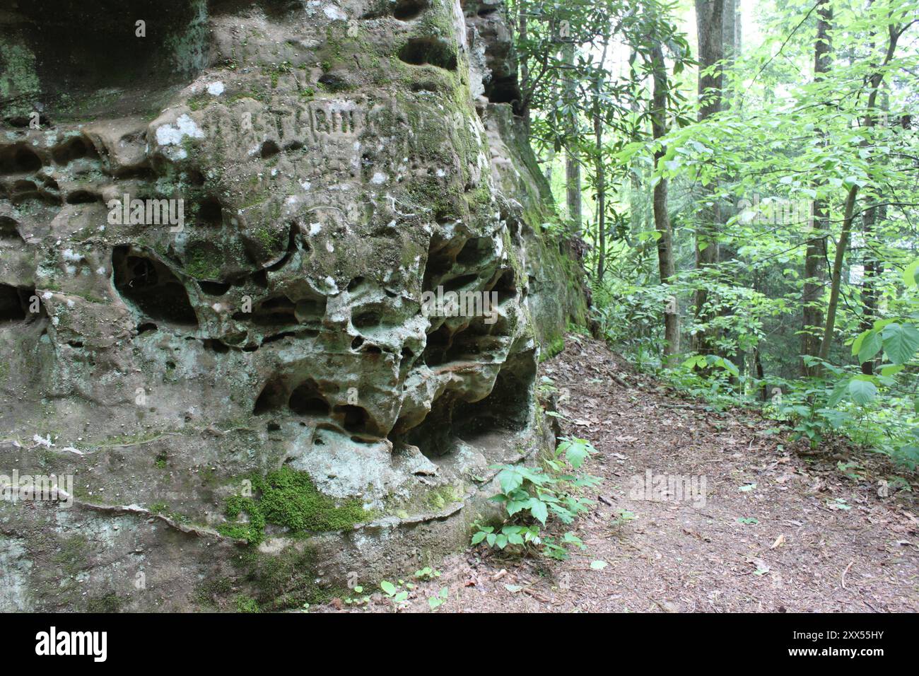 Rock Cliff Carving Nature Path Landscape Stock Photo - Alamy