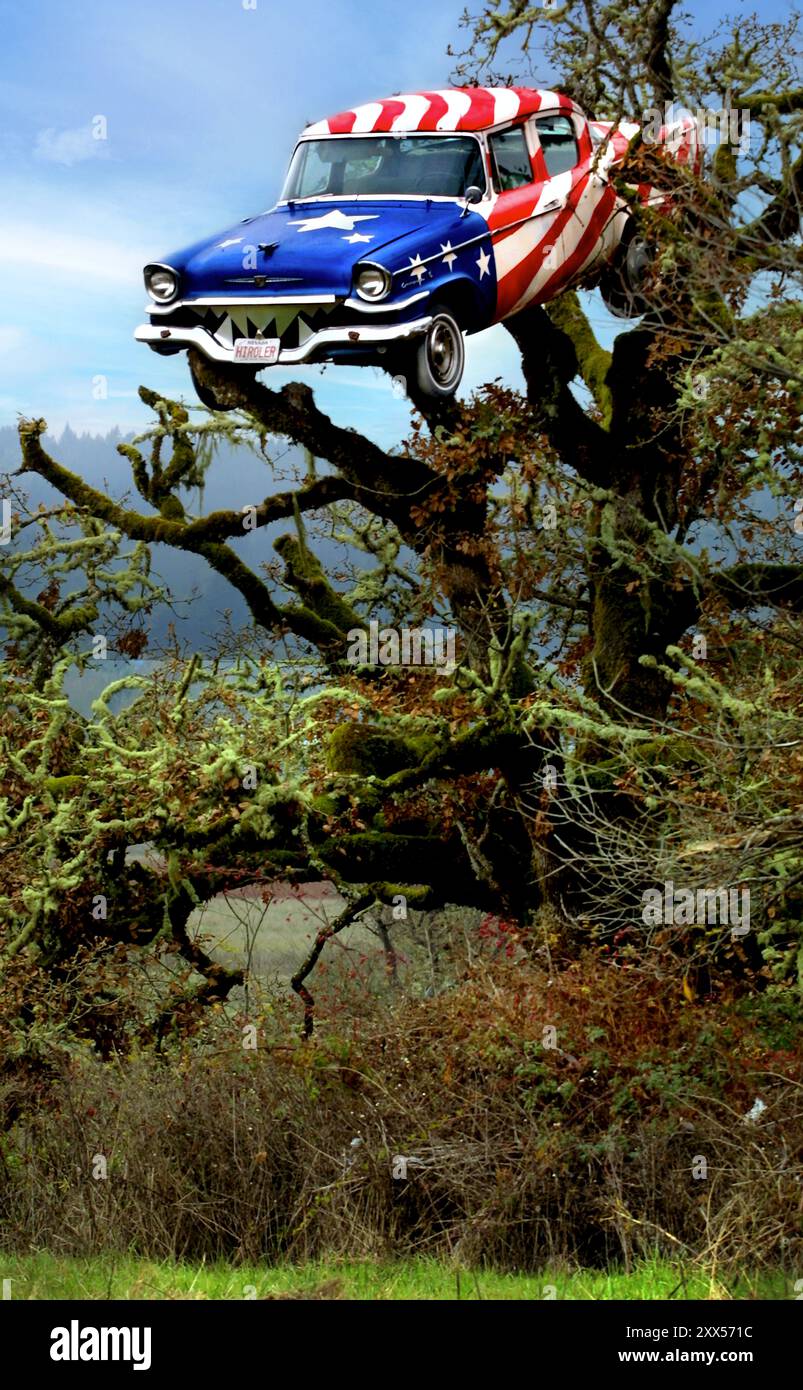 A 1957 Studebaker sits atop a tree in the front yard of Tim Tharp in ...