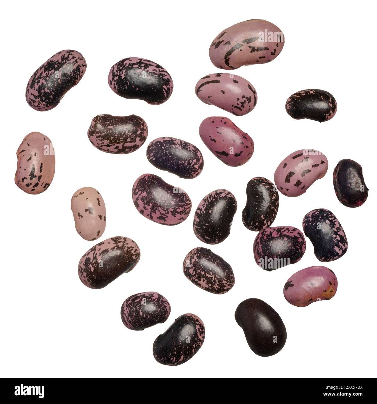 Raw brown beans on isolated background, top view Stock Photo - Alamy
