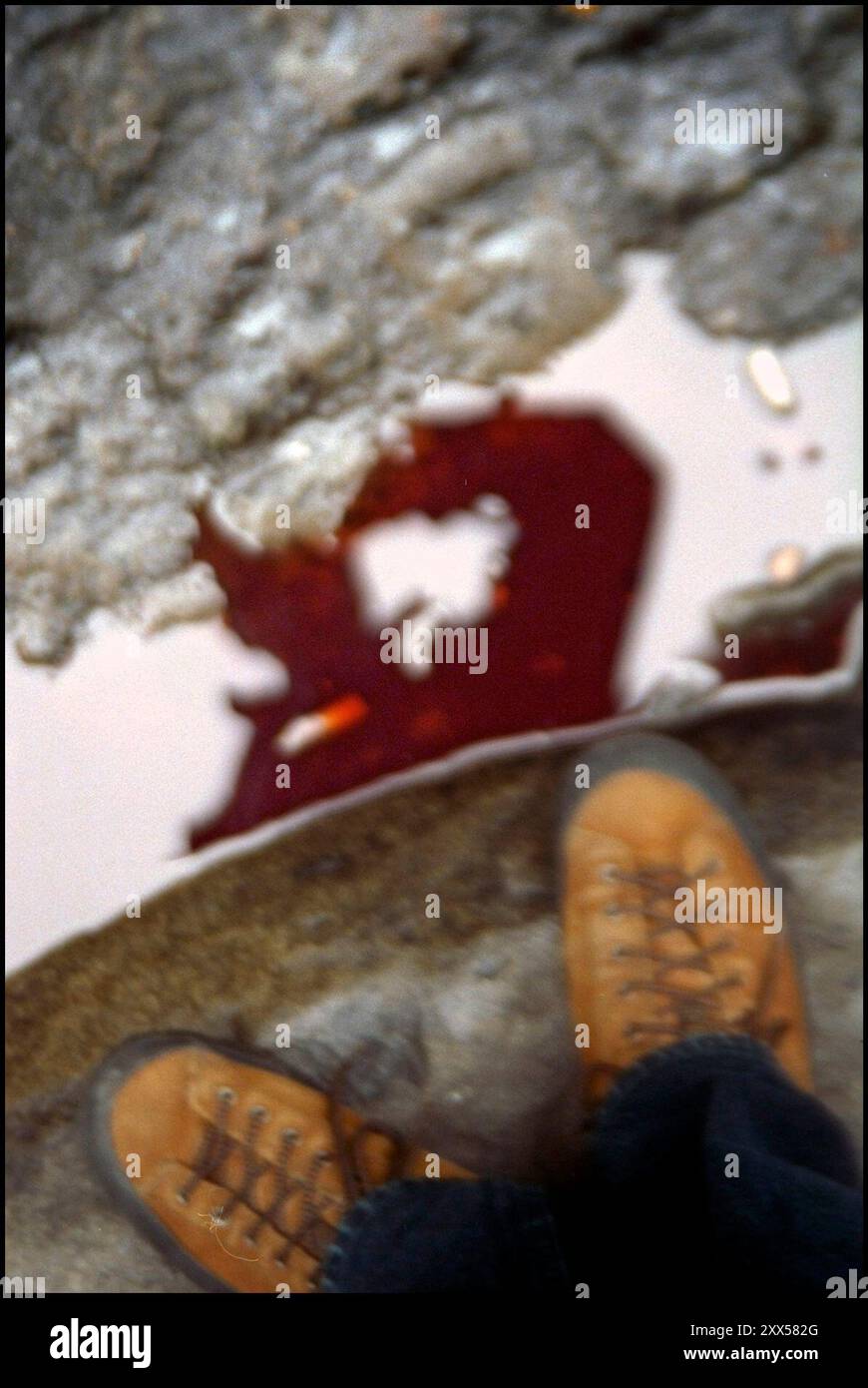 America slaughterhouse hi-res stock photography and images - Alamy