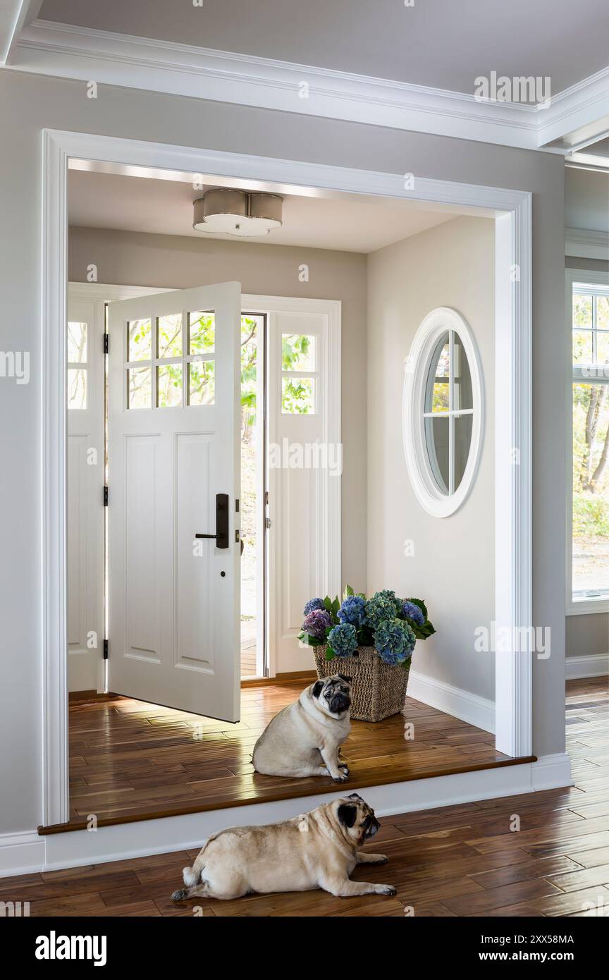 Beautiful front entryway interior of house with two dogs Stock Photo ...