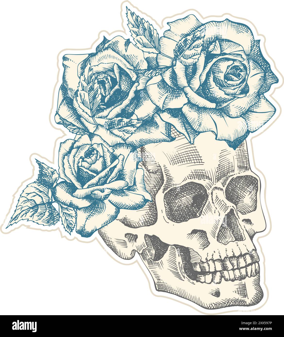 Skull png hi-res stock photography and images - Alamy