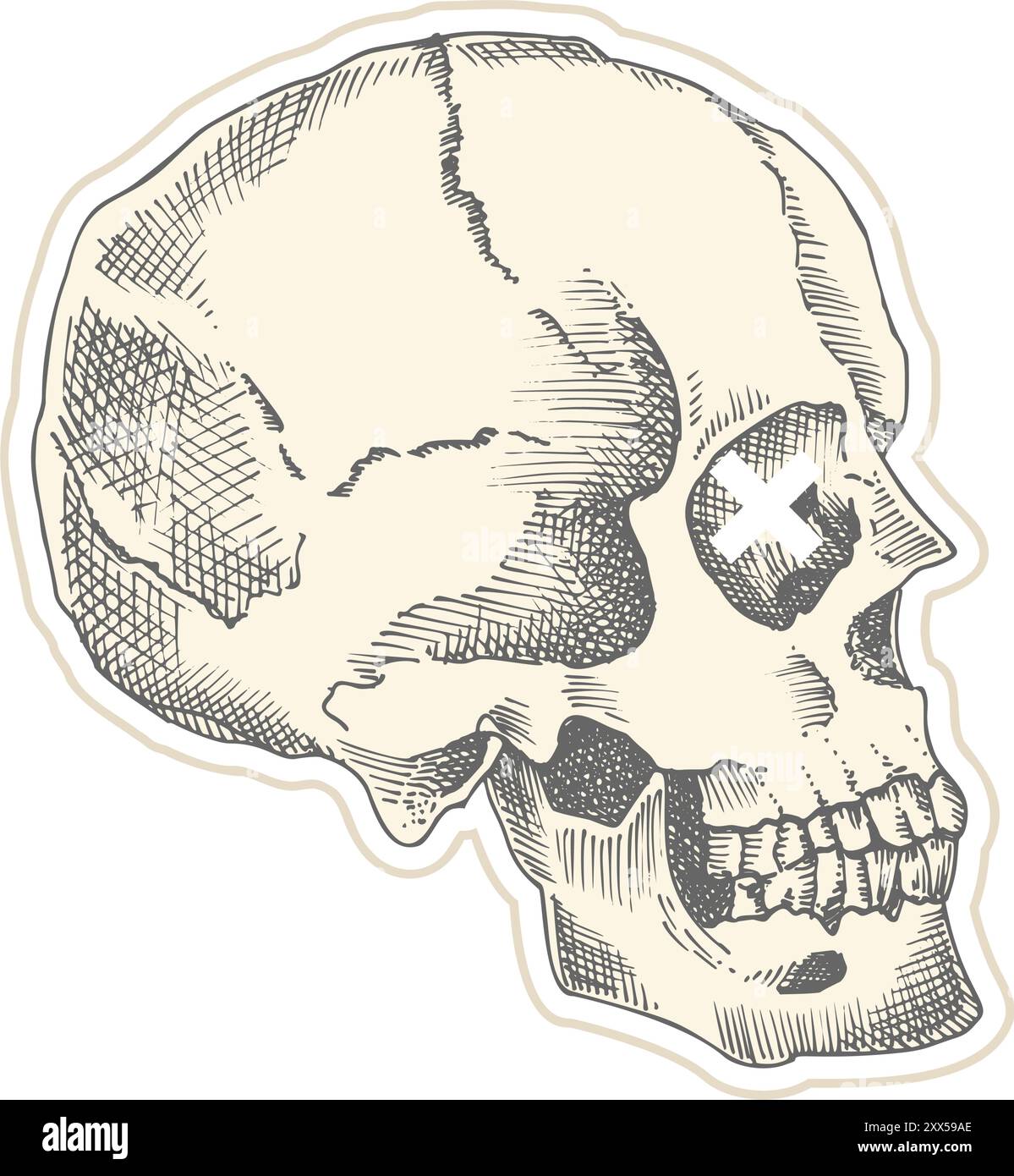 Skull png hi-res stock photography and images - Alamy