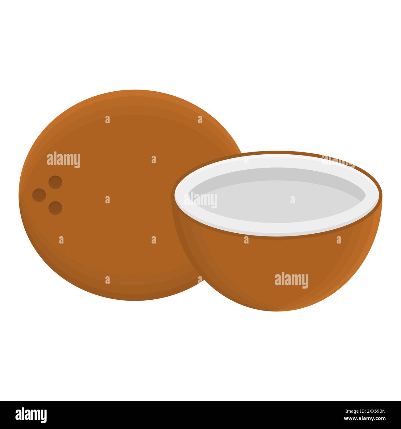 Whole and Half Sliced Brown Coconut Vector. Delicious Fresh Coconut ...