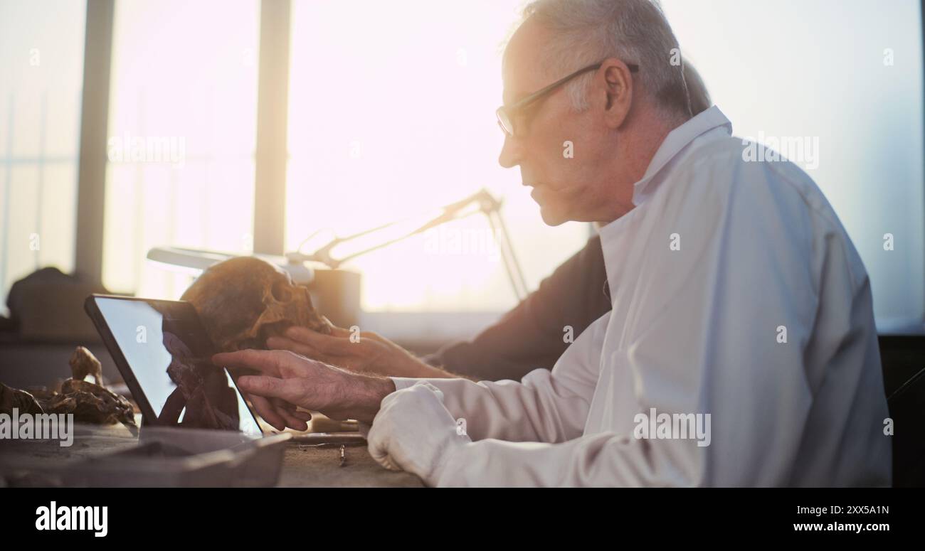 Archaeological lab: Two researchers or scientists examine fossil skull ...