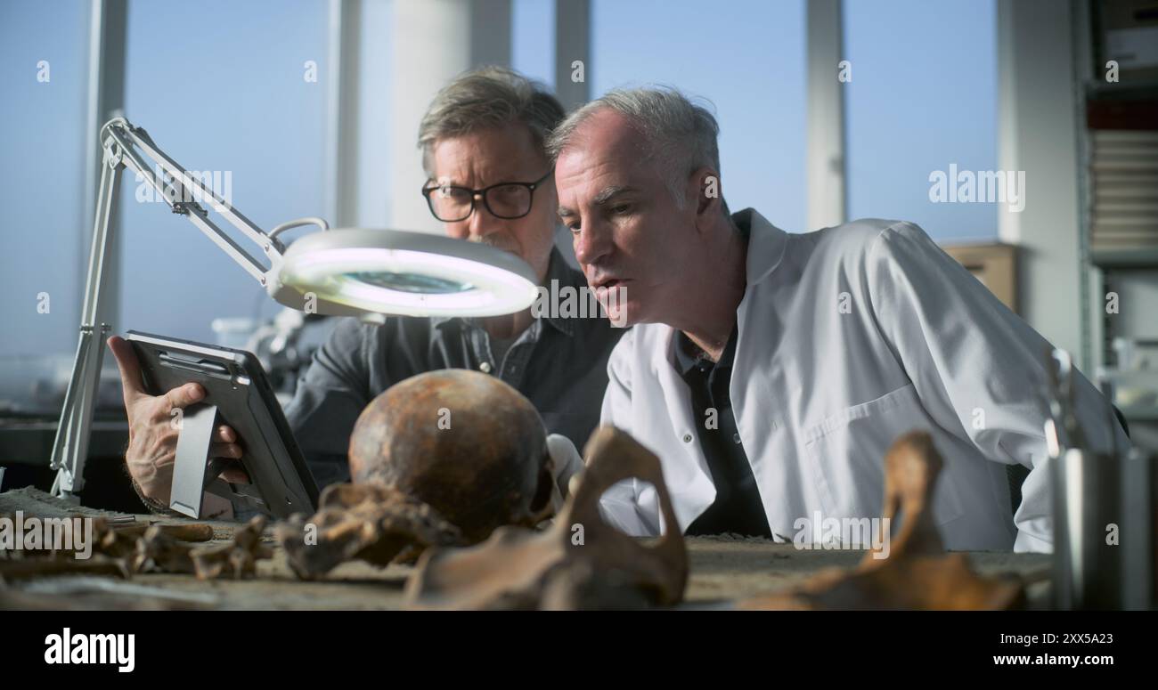 Archaeological laboratory: Mature archaeologist uses tablet computer ...