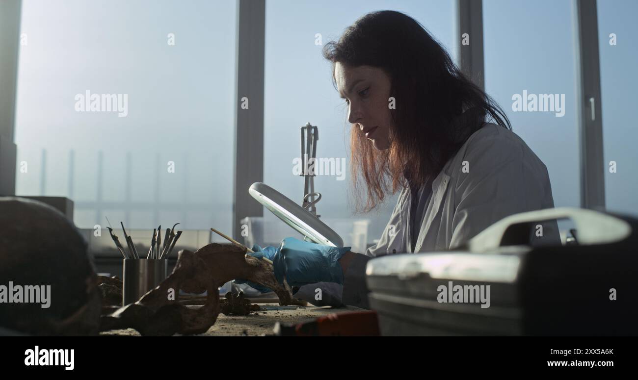Female paleoanthropologist in gloves and lab coat examines prehistoric ...
