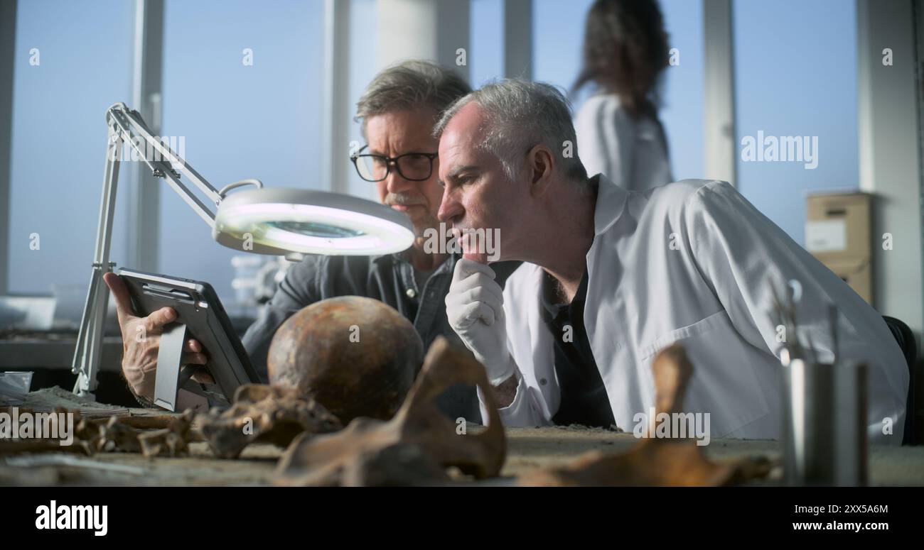 Archaeological laboratory: Mature archaeologist uses tablet computer ...