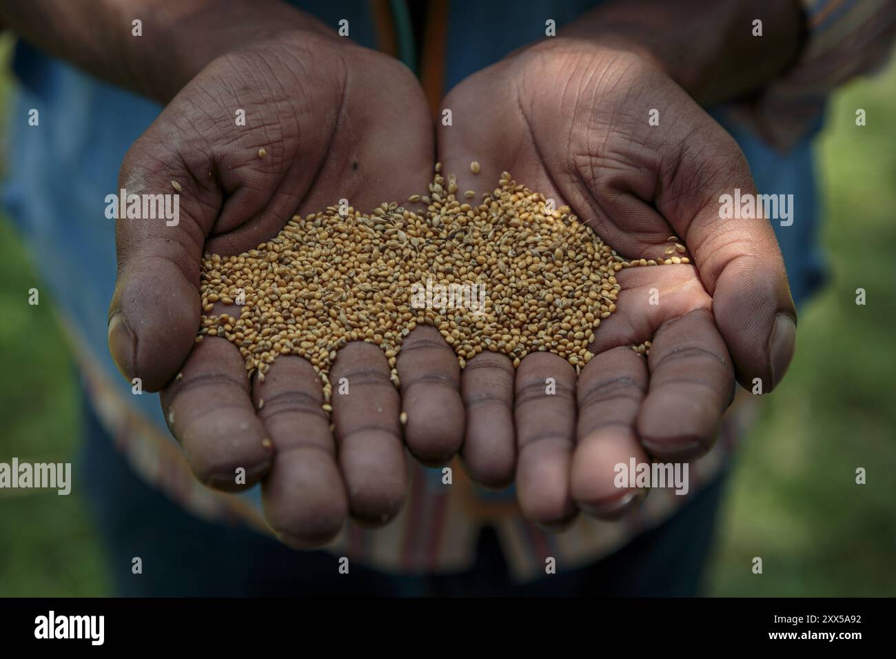 Mohammed Kofiluddin Master. Former freedom fighter. Former teacher ...