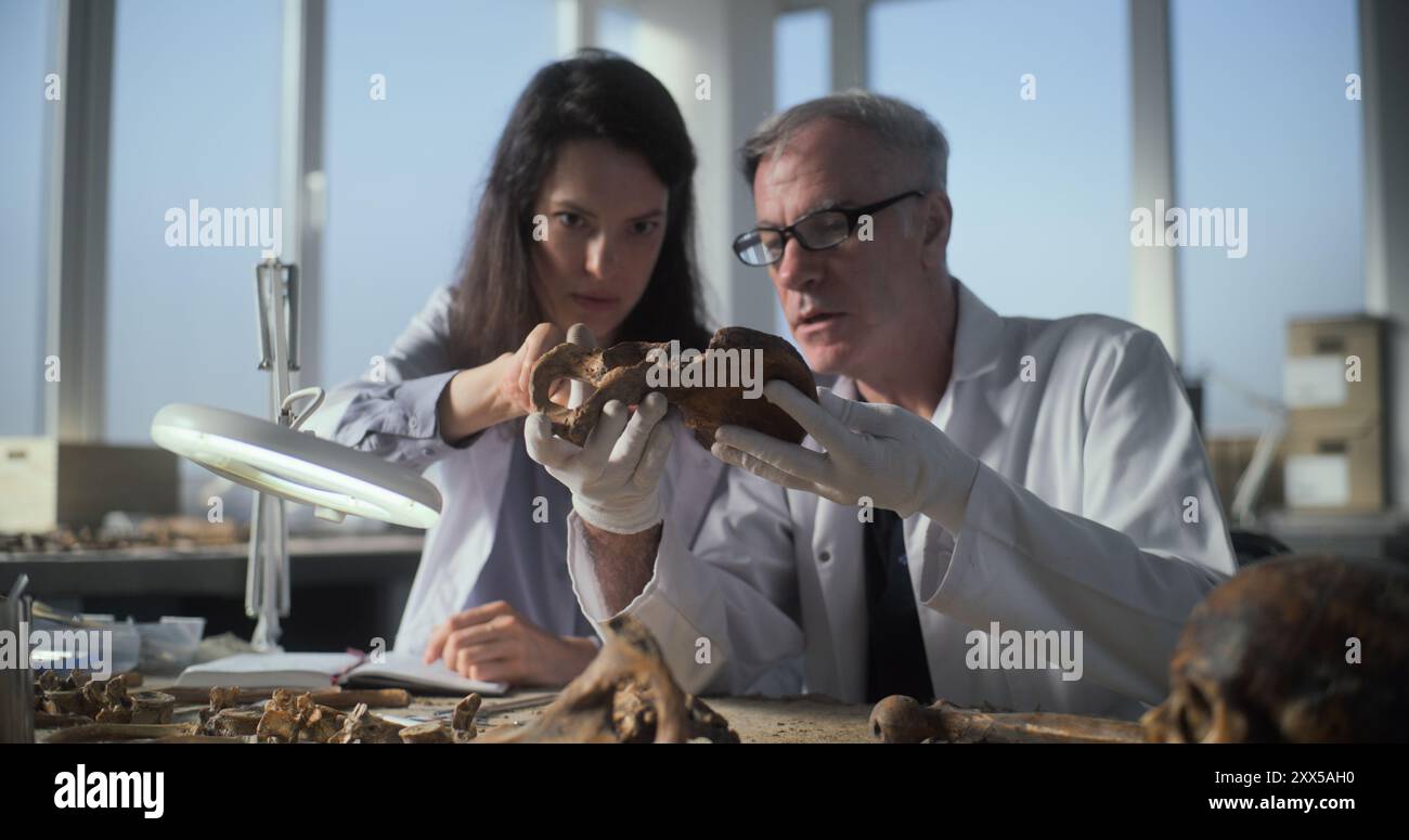 Modern archaeological lab: Male and female paleoanthropologists have ...