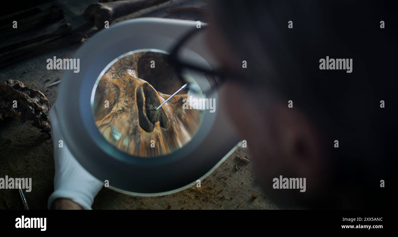 Mature archaeologist looks skull ancient hi-res stock photography and ...