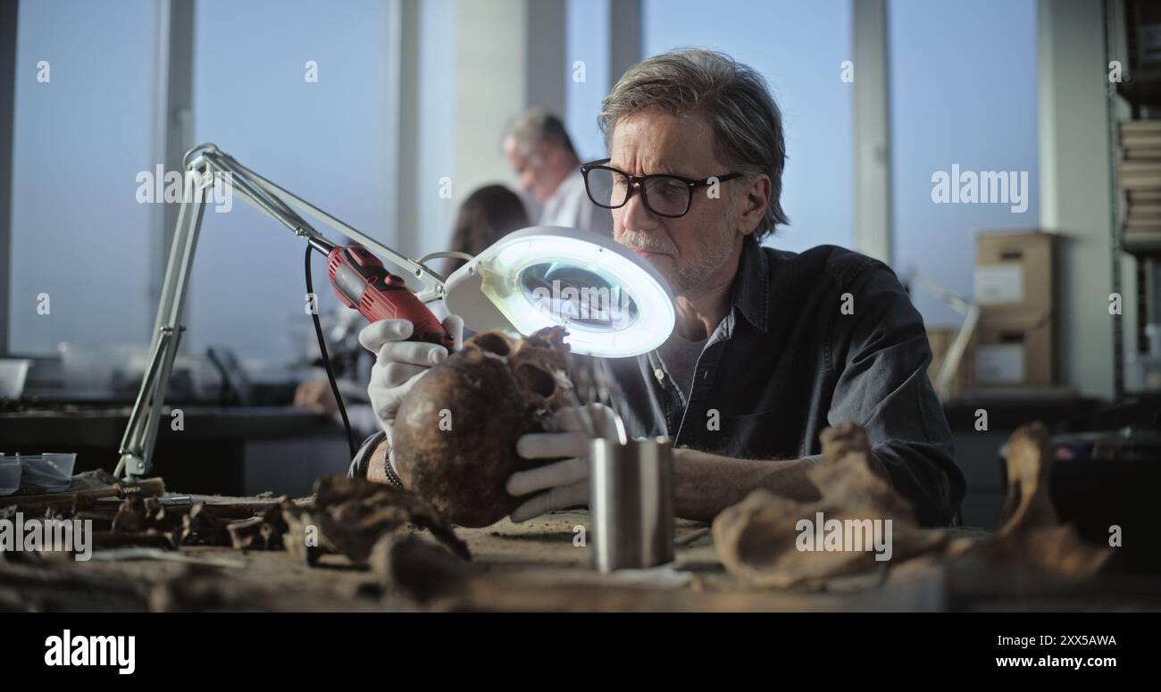 Mature archaeologist in glasses cleans fossil remains using ...