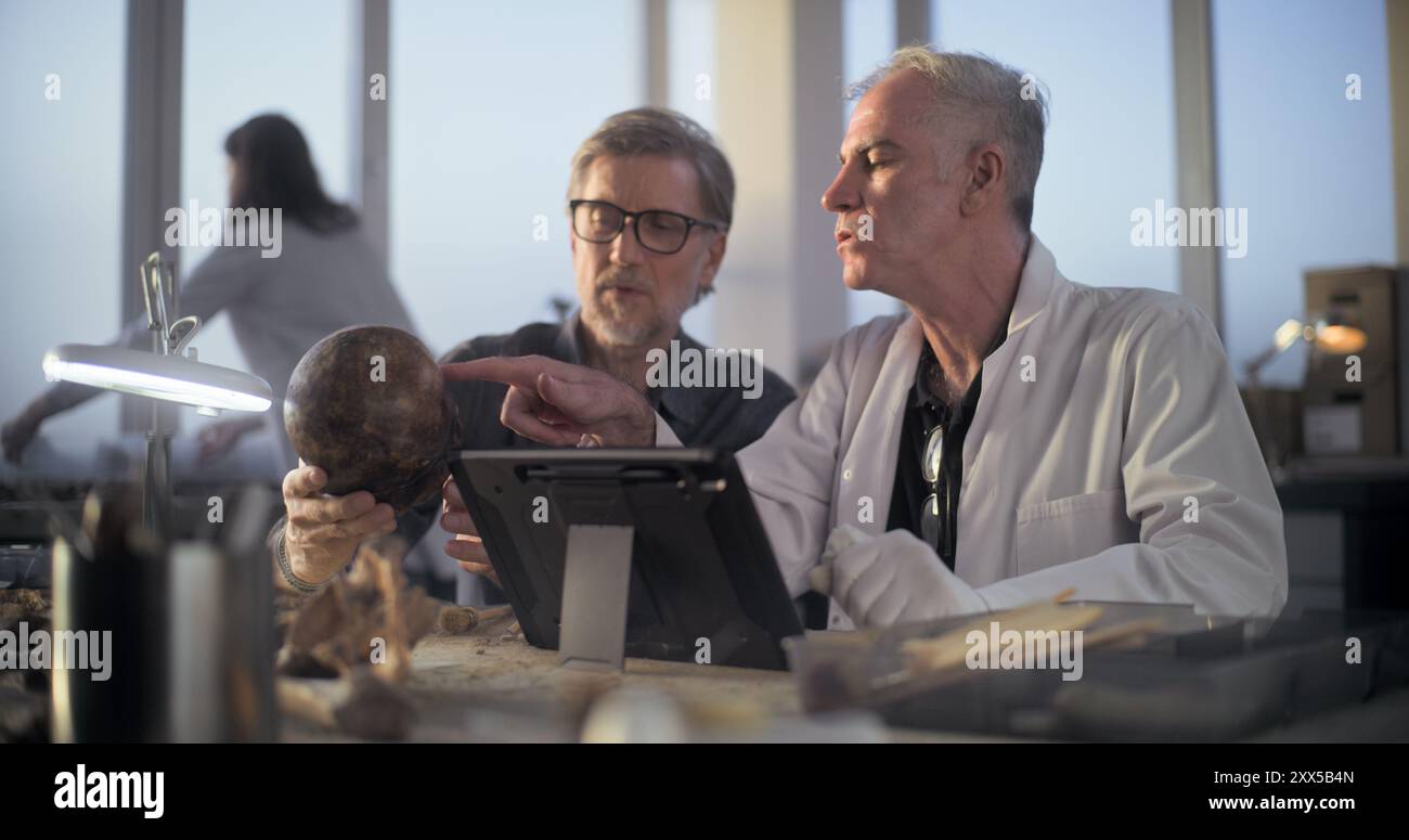 Two archaeologists examine fossil skull, conduct historical and ...