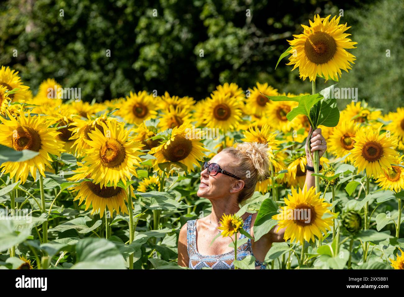Turners Hill, August 21st 2024: Alison Samways from Croxley Green in ...