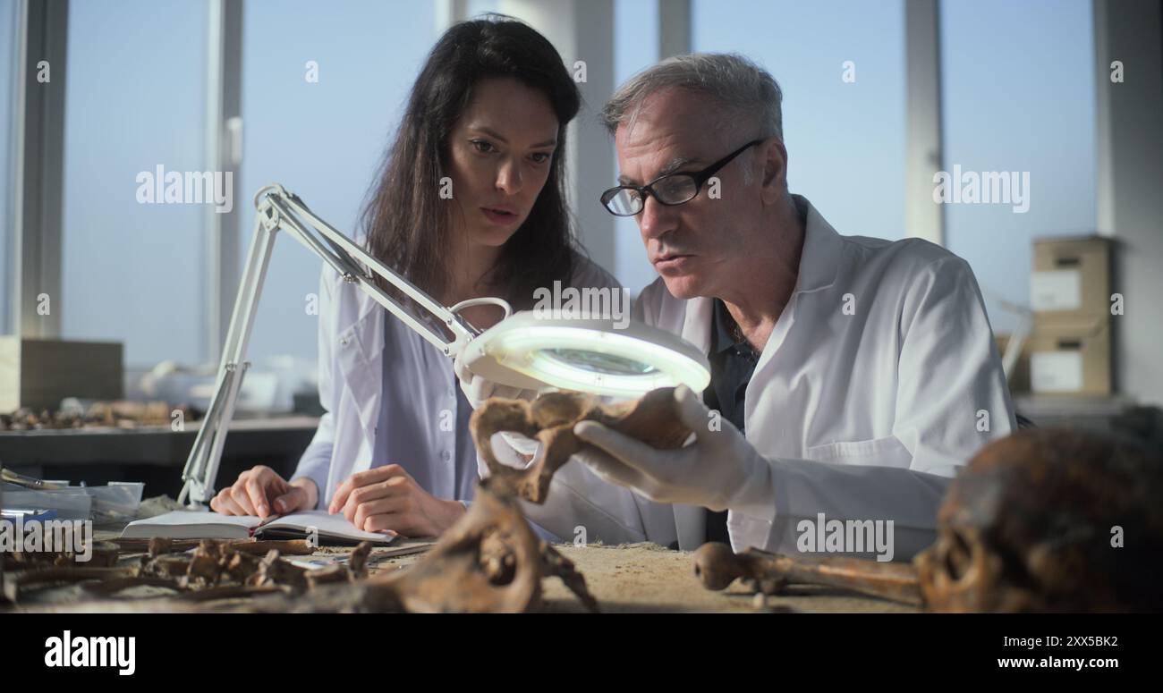 Modern archaeological lab: Male and female paleoanthropologists have ...