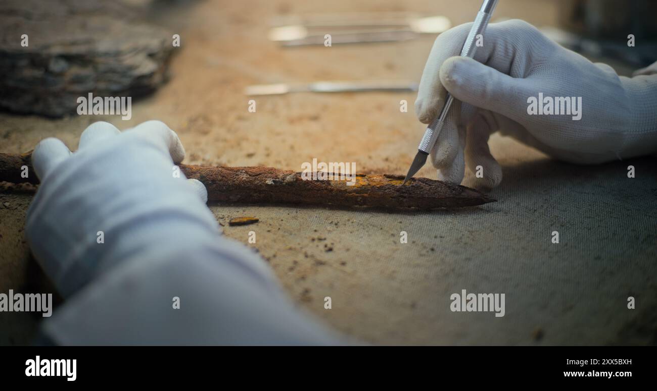 Senior archaeologist in gloves cleans fossil ancient wooden spear using ...