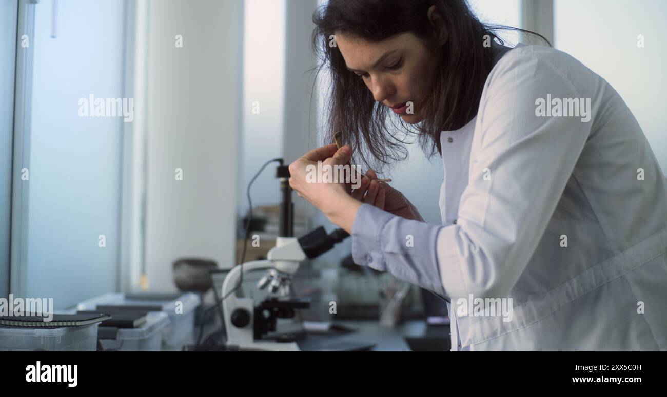 Scientist works in archaeological lab hi-res stock photography and ...