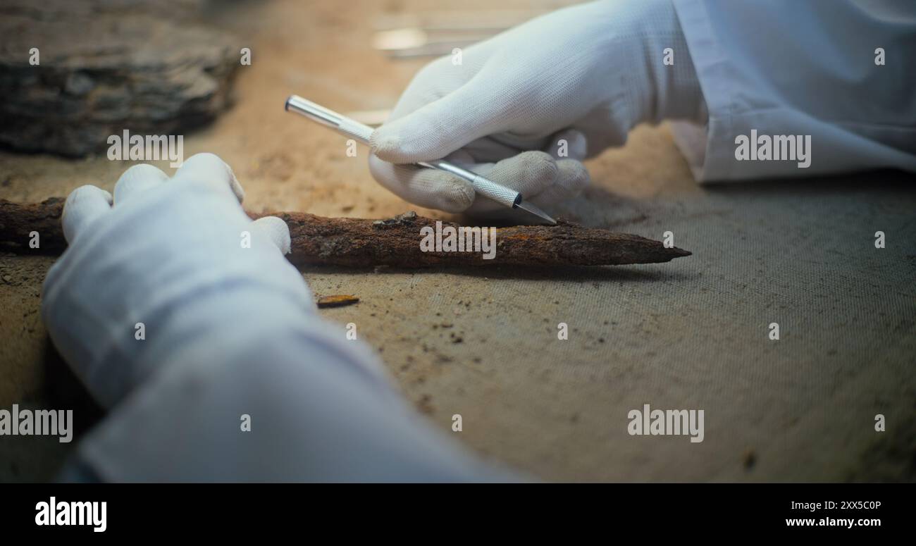 Senior archaeologist in gloves cleans fossil ancient wooden spear using ...
