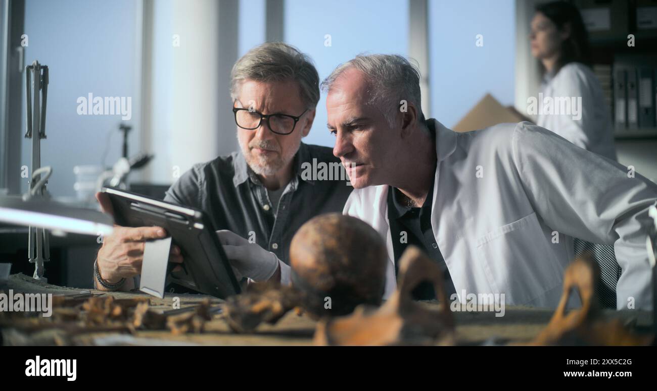 Archaeological laboratory: Mature archaeologist uses tablet computer ...