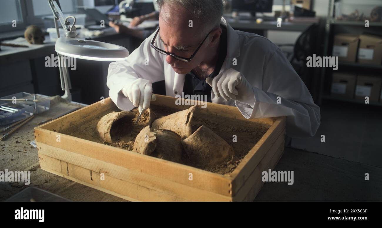 Man paleontologist archaeologist cleans hi-res stock photography and ...
