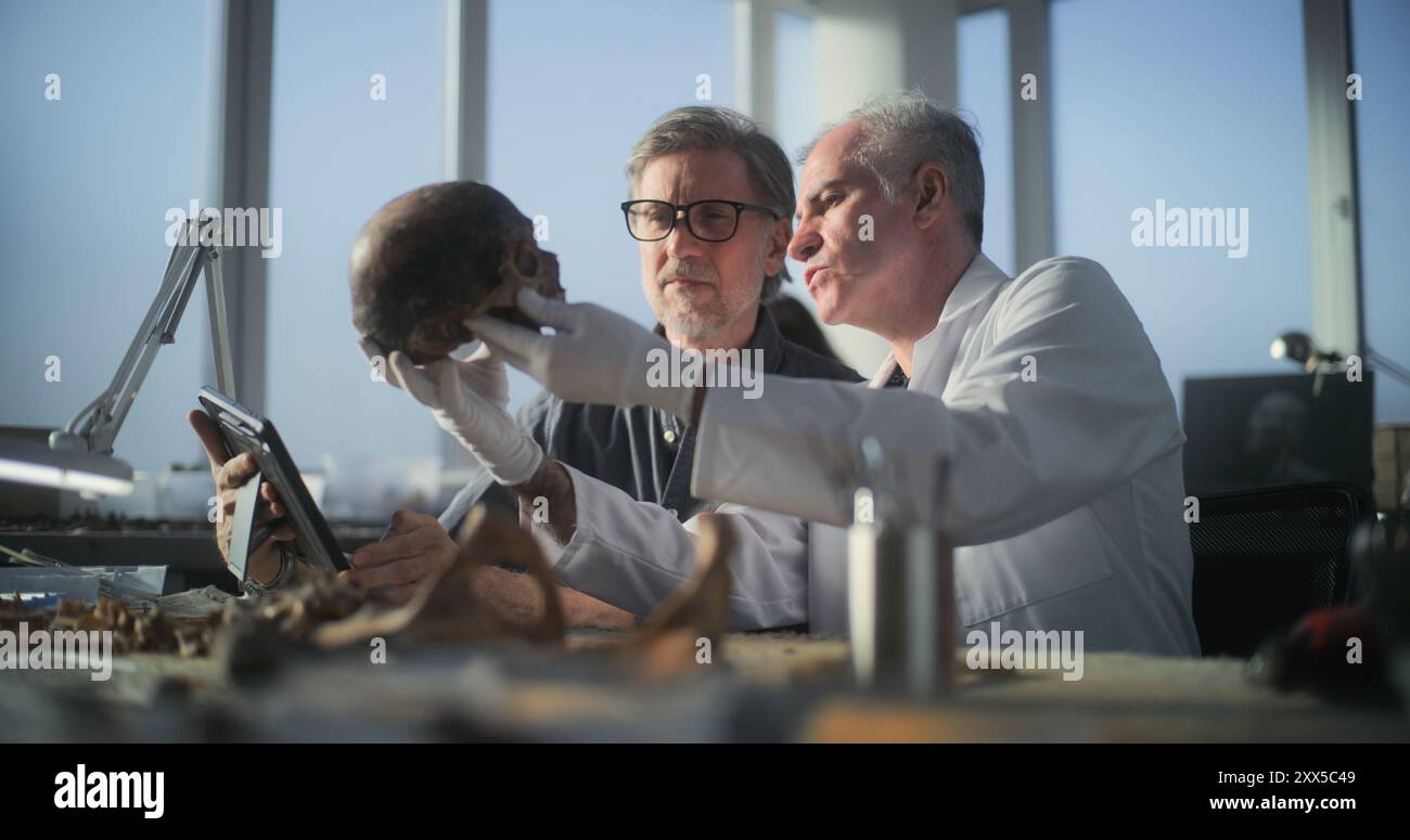 Archaeological laboratory: Senior paleoanthropologist holds prehistoric ...