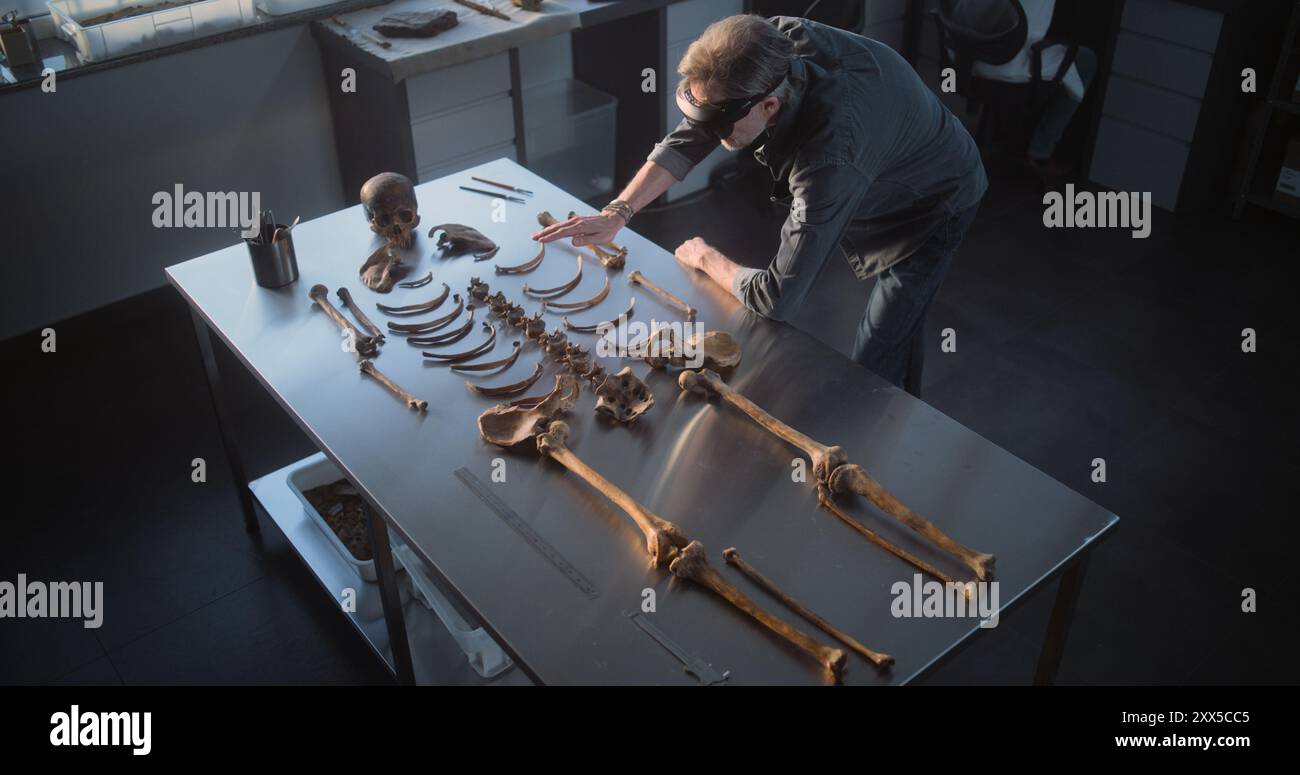 Archaeological laboratory: High angle of mature archaeologist in AR ...