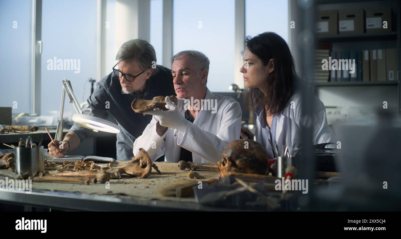 Group of scientists study and analyze fossil remains of bones of ...