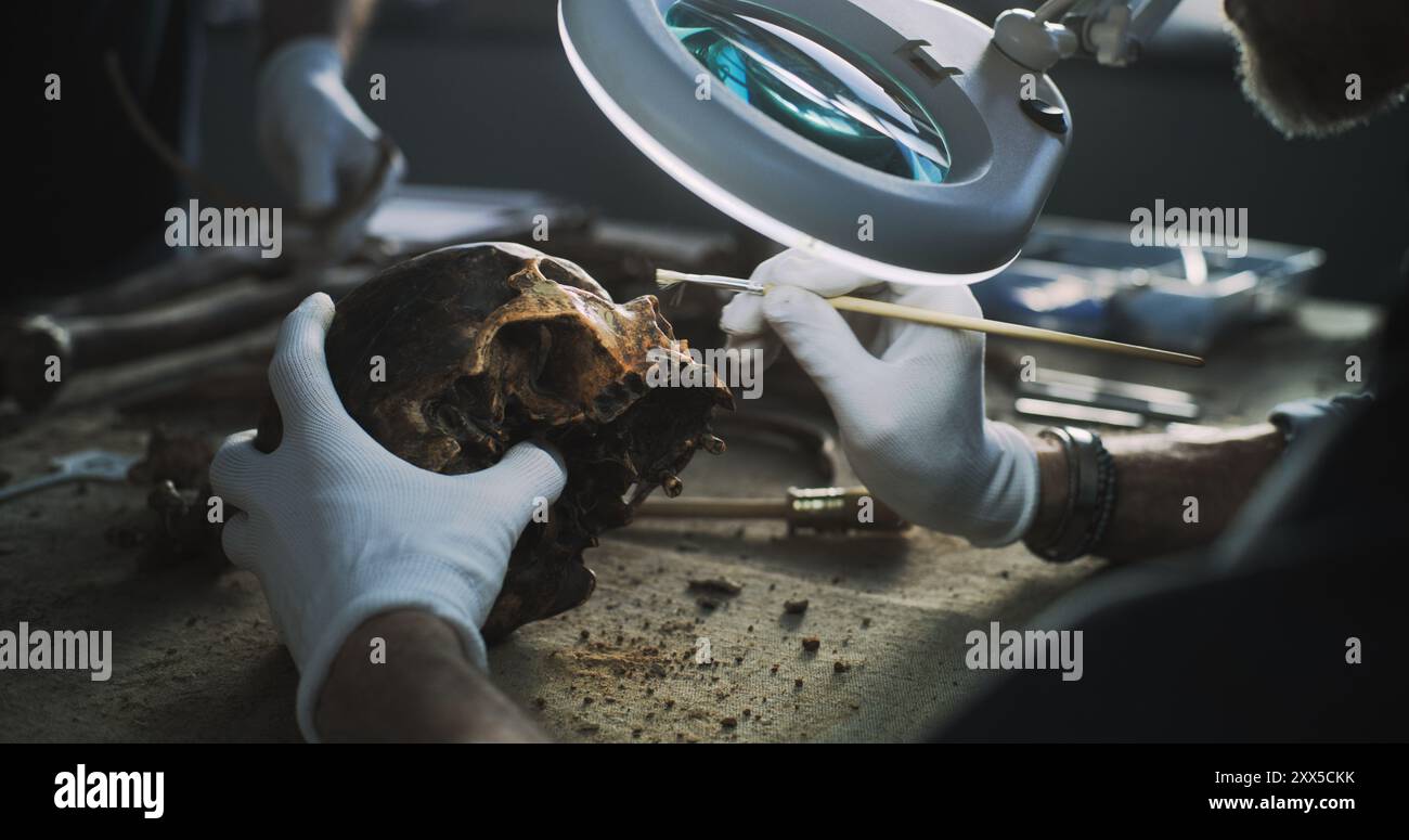 Male scientist works with fossil remains in archaeological laboratory ...