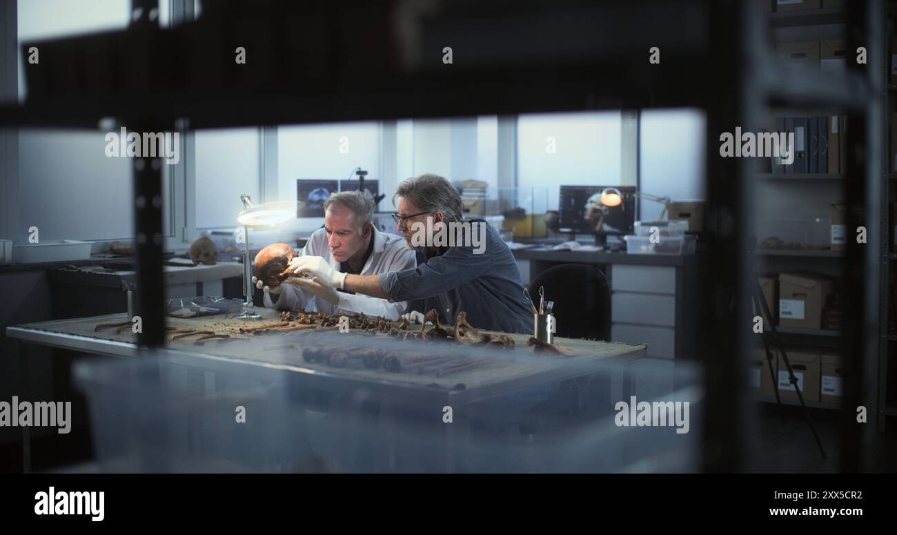 Two archaeologists studies fossil skull under lamp and have discussion ...