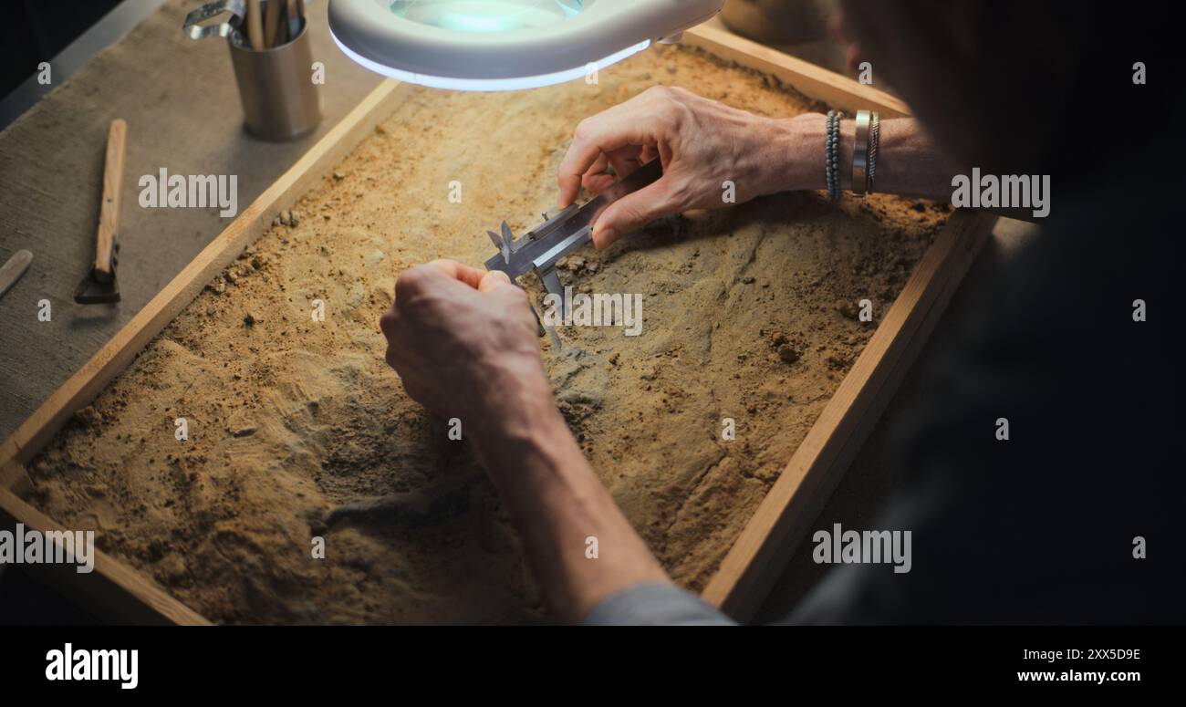 Archaeologist takes measurements of dinosaur remains with colleague ...