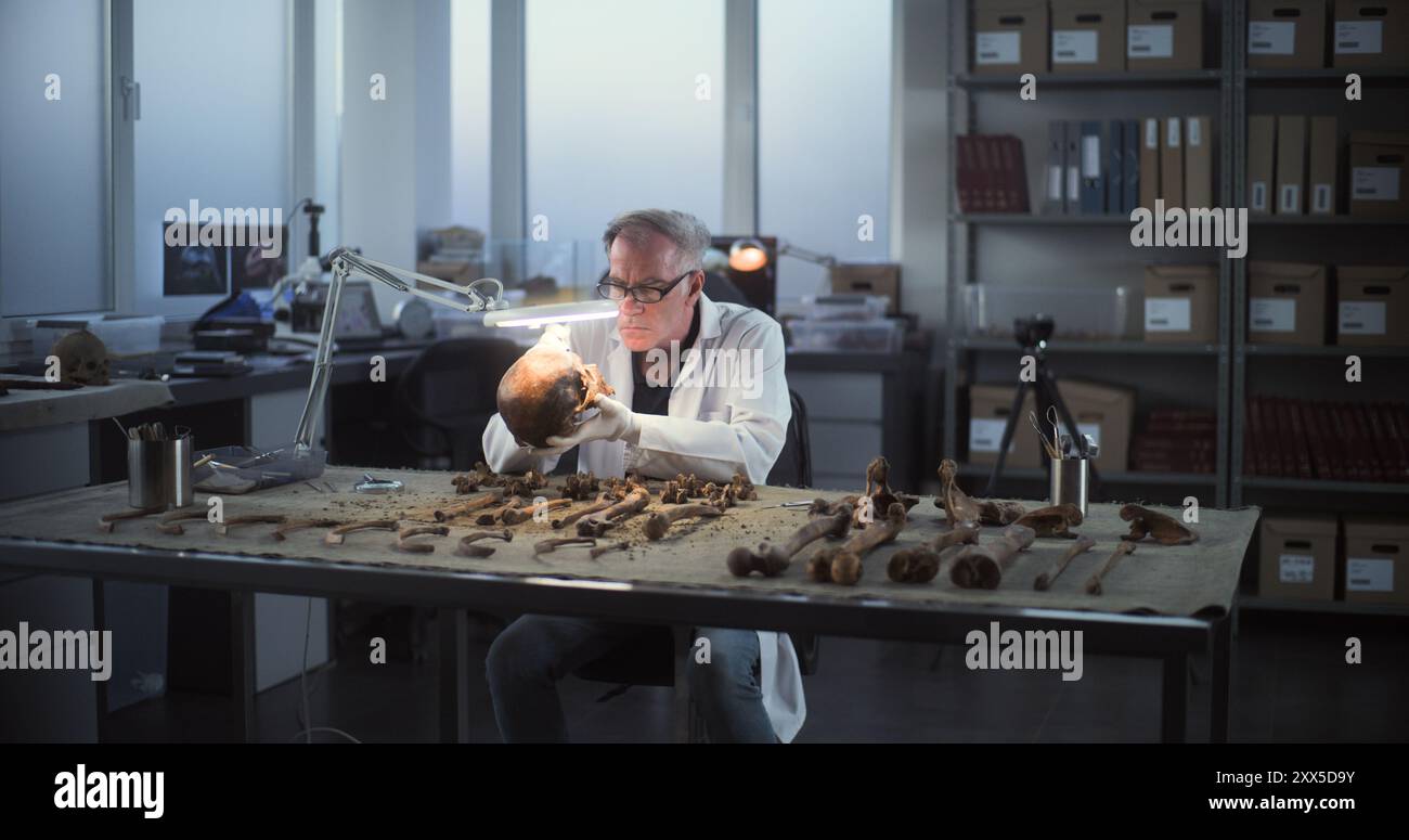 Modern archaeological laboratory: Senior archaeology cleans fossil ...