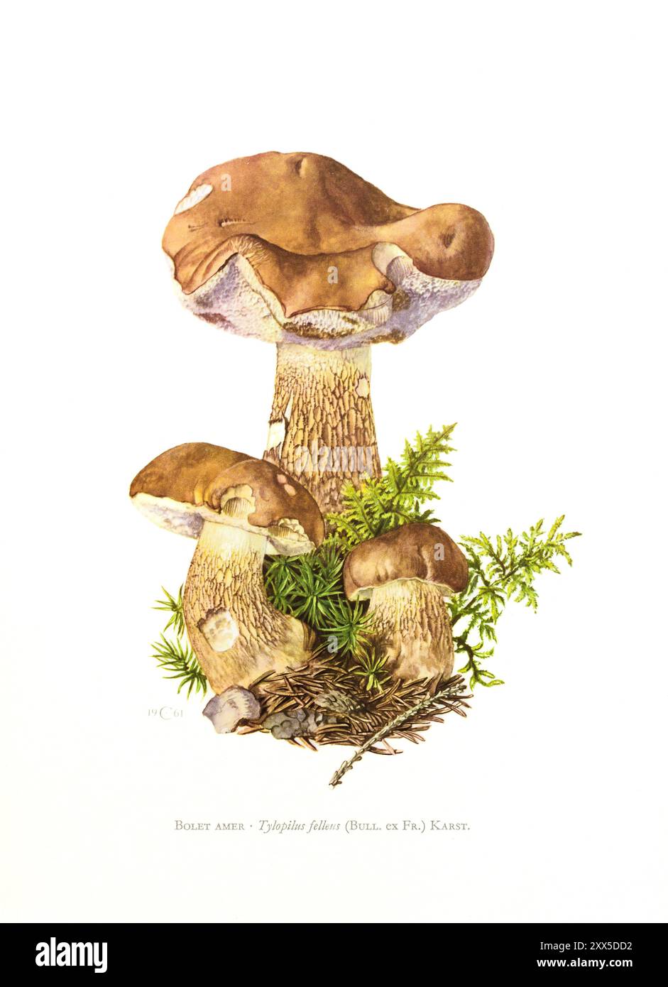 Illustration by Claus Caspari from the "Collection de Documents d ...