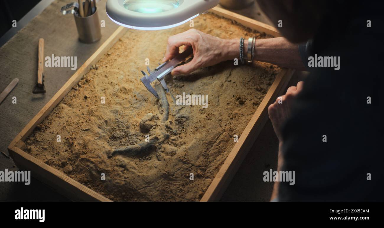 Archaeologist takes measurements of dinosaur remains with colleague ...