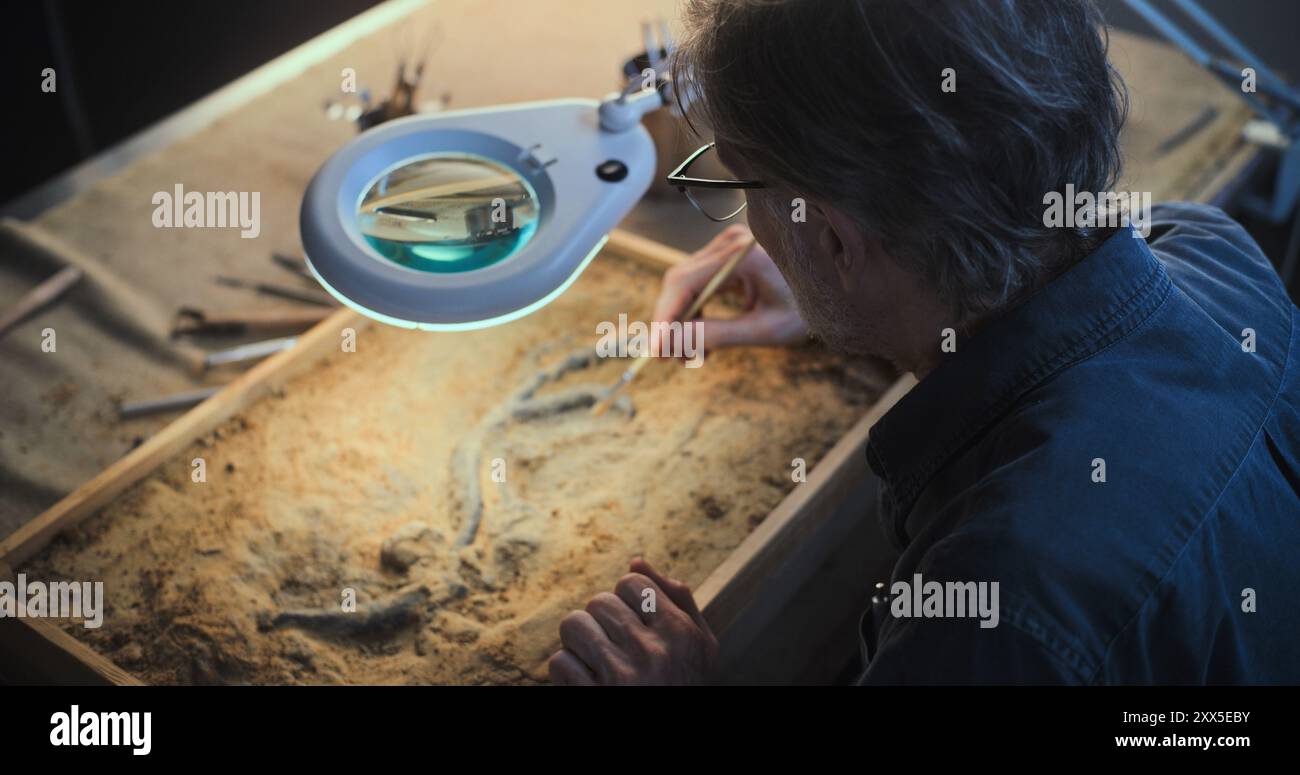 Close up of mature archaeologist cleaning fossil bone with brush ...