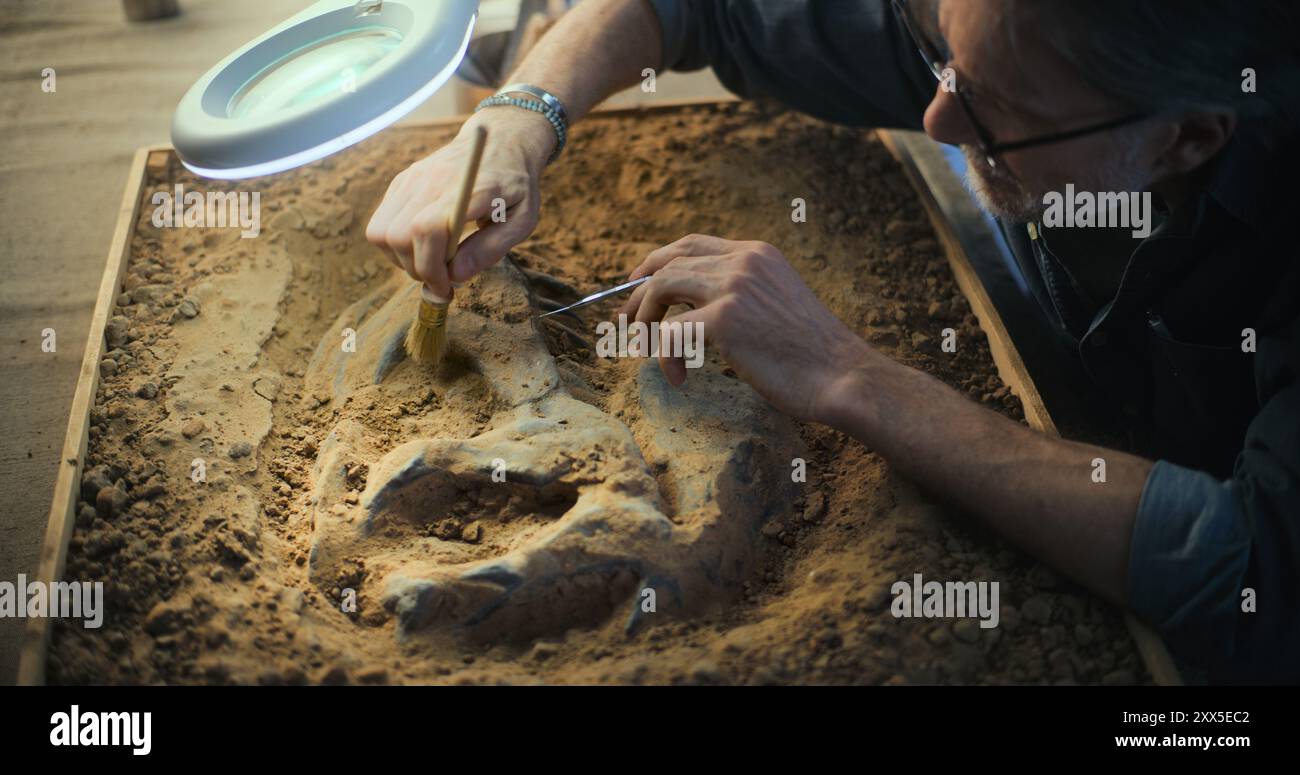Mature archaeologist cleans ancient extinct human or animal bones under ...