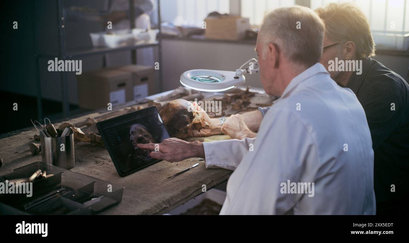 Archaeological lab: Two researchers or scientists examine fossil skull ...