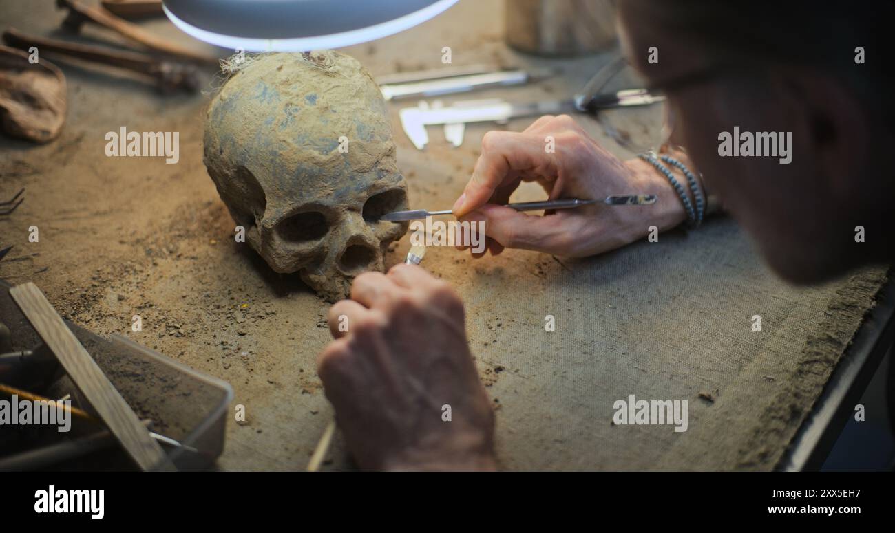 Close up of mature archaeologist cleaning skull of extinct ancient ...