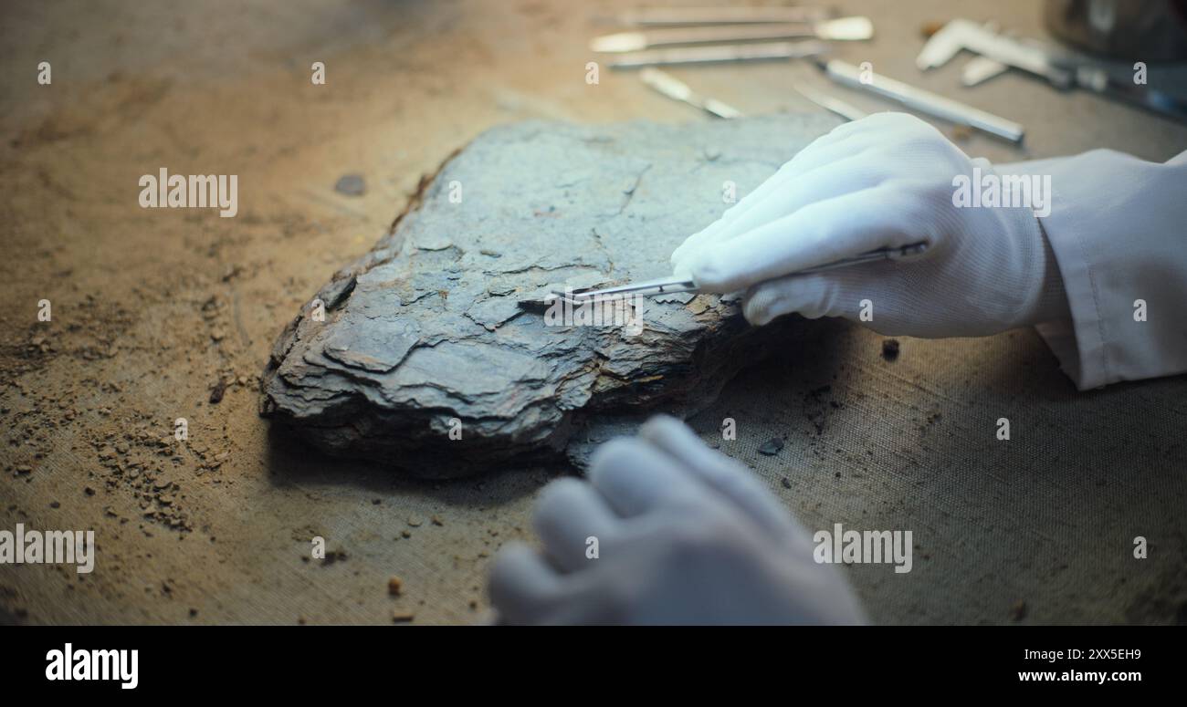 Palaeontologist with tools hi-res stock photography and images - Alamy