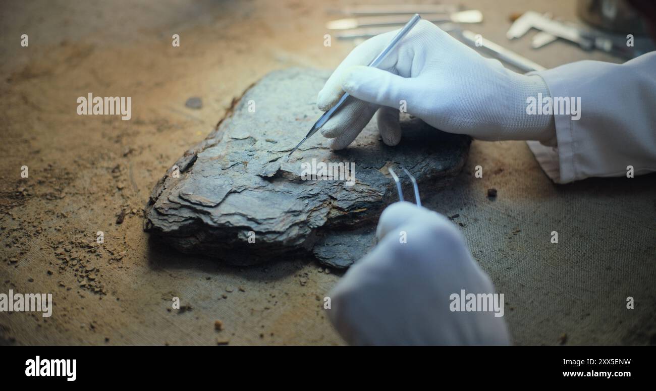 Close up of archaeologist in gloves cleaning fossil using professional ...
