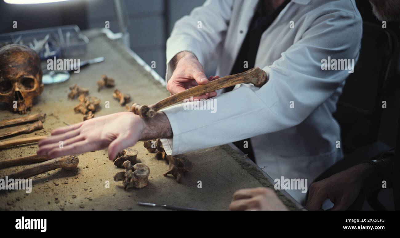 Archaeologist shows size of ancient man bone to colleague and talks ...