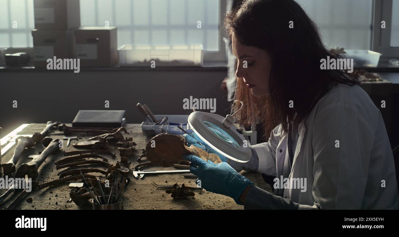 Female paleoanthropologist works with fossil remains in archaeological ...