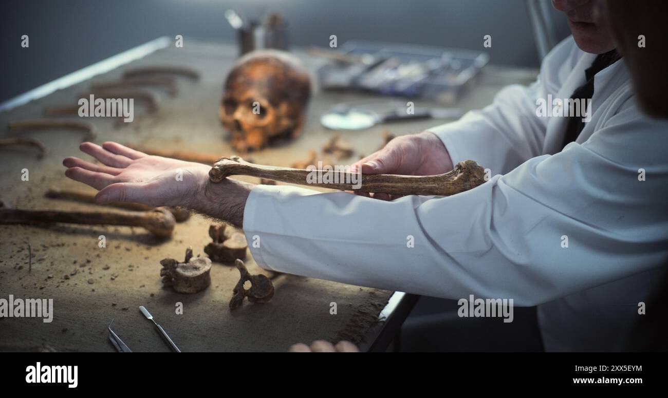 Archaeologist shows size of ancient man bone to colleague and talks ...