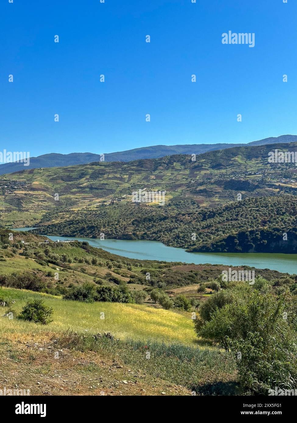 Agriculture fields by Ennakhla Dam lake, Morocco Stock Photo - Alamy