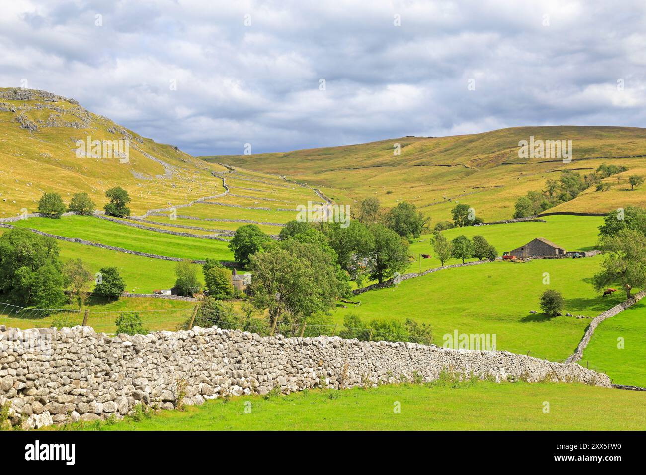 Ancient field system above Malham, Yorkshire Dales National Park, North ...