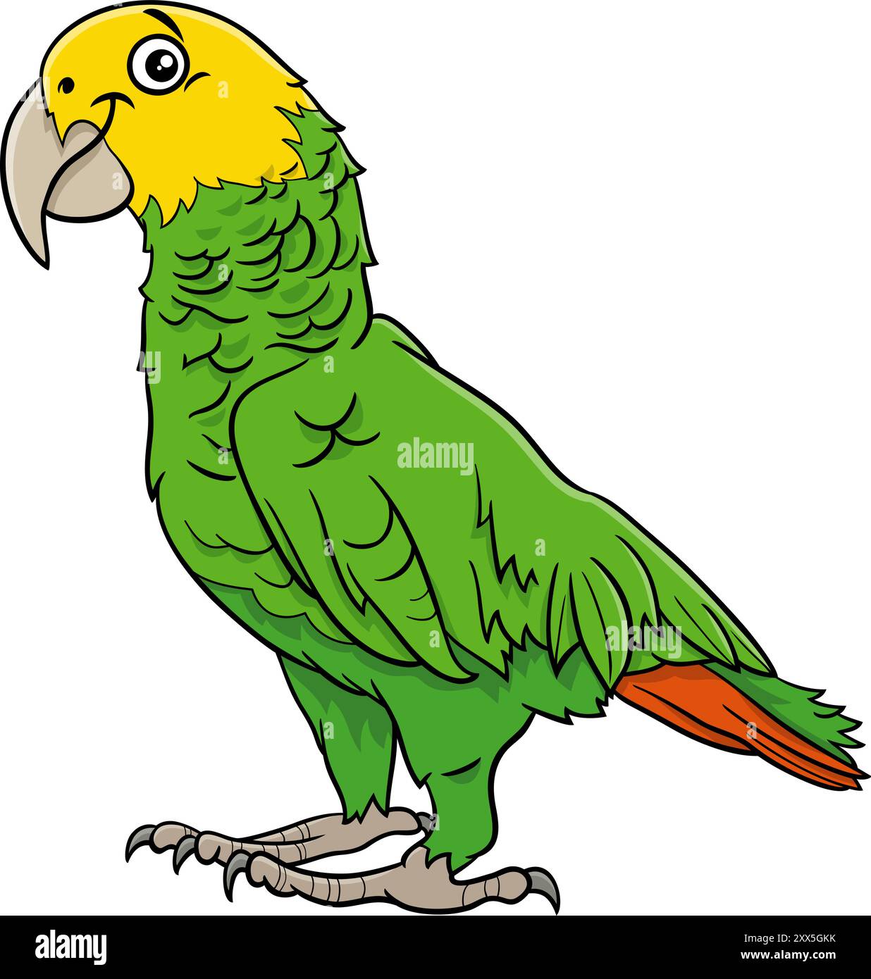 Cartoon illustration of yellow headed Amazon parrot bird animal ...