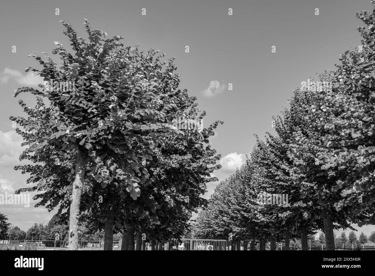 the city of xanten in germany Stock Photo - Alamy