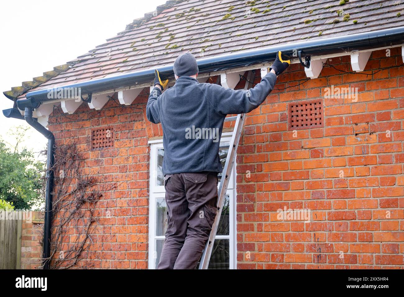 Man on a ladder fixing fitting a rain gutter on the eaves of a UK house ...