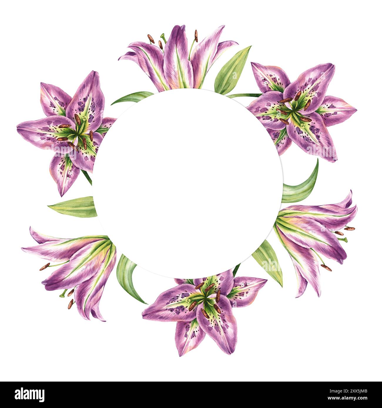 Watercolor purple lilies frame. Lilies frame background. Hand drawn ...